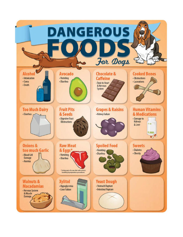 Dangerous Foods & Plants for Pets | Golf Rose Animal Services